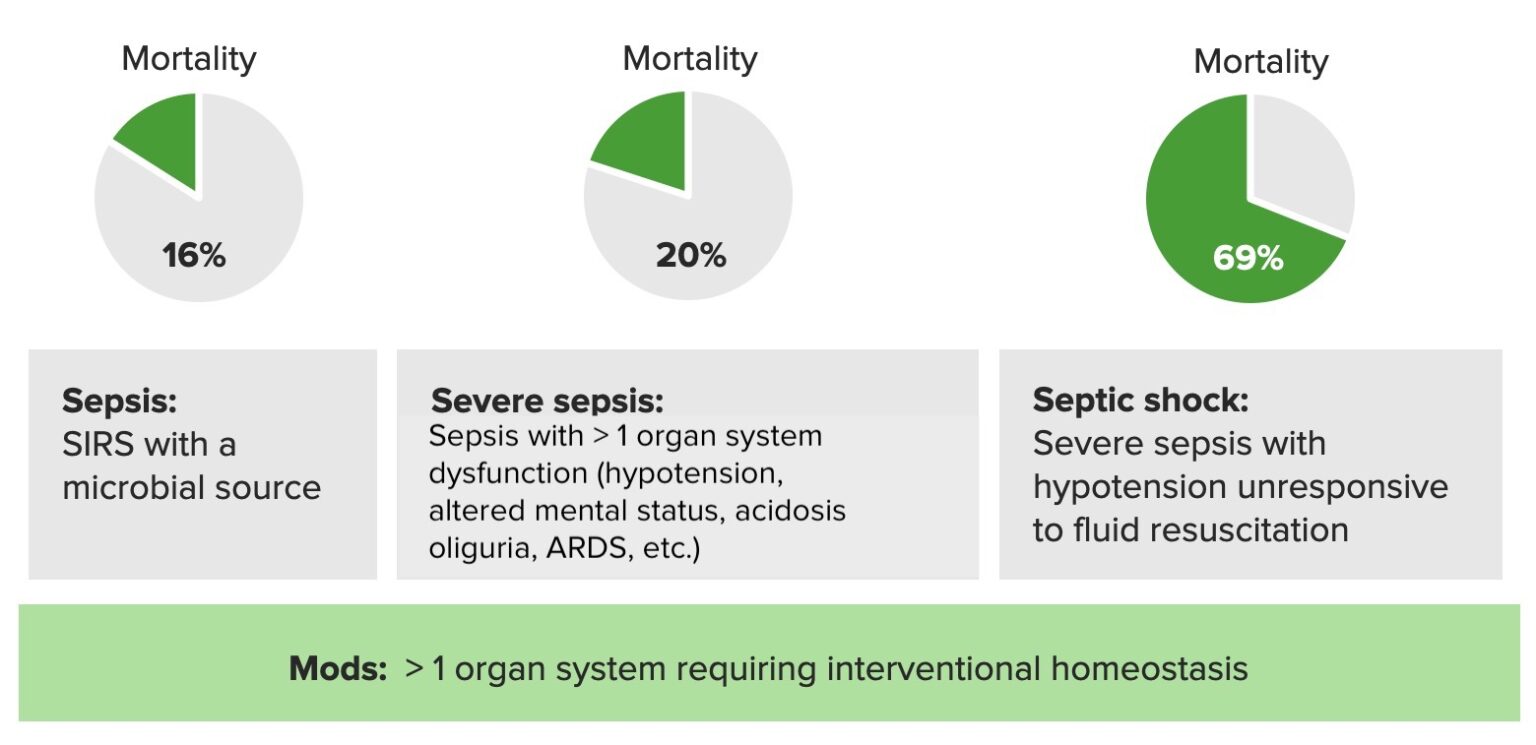 Sepsis in Children | Concise Medical Knowledge