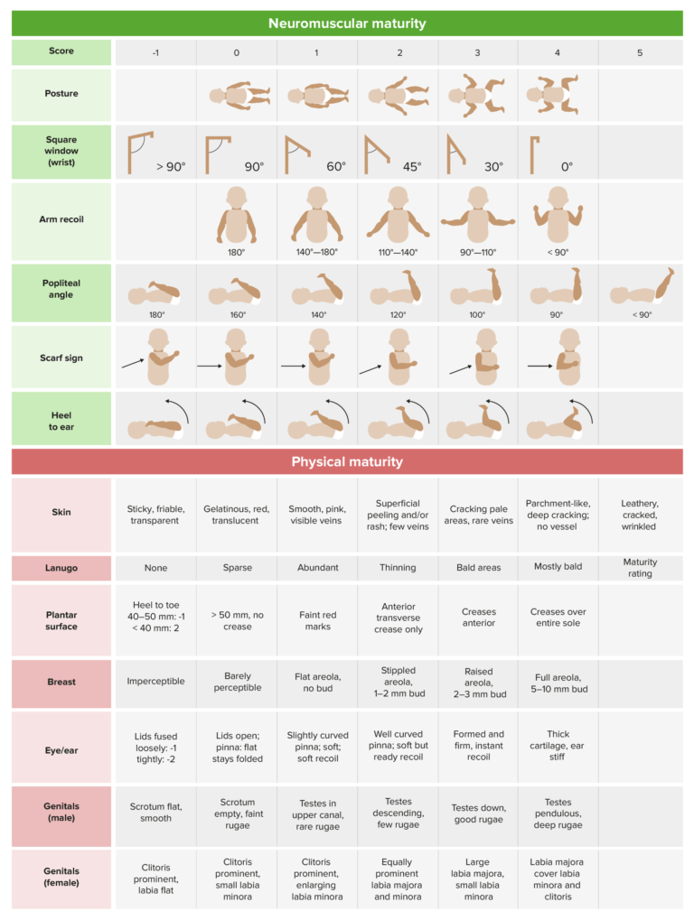 Physical Examination of the Newborn | Concise Medical Knowledge