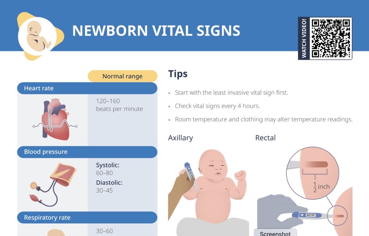 Newborn Vital Signs Free Cheat Sheet Lecturio Nursing