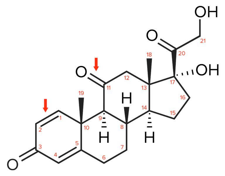Glucocorticoids | Concise Medical Knowledge