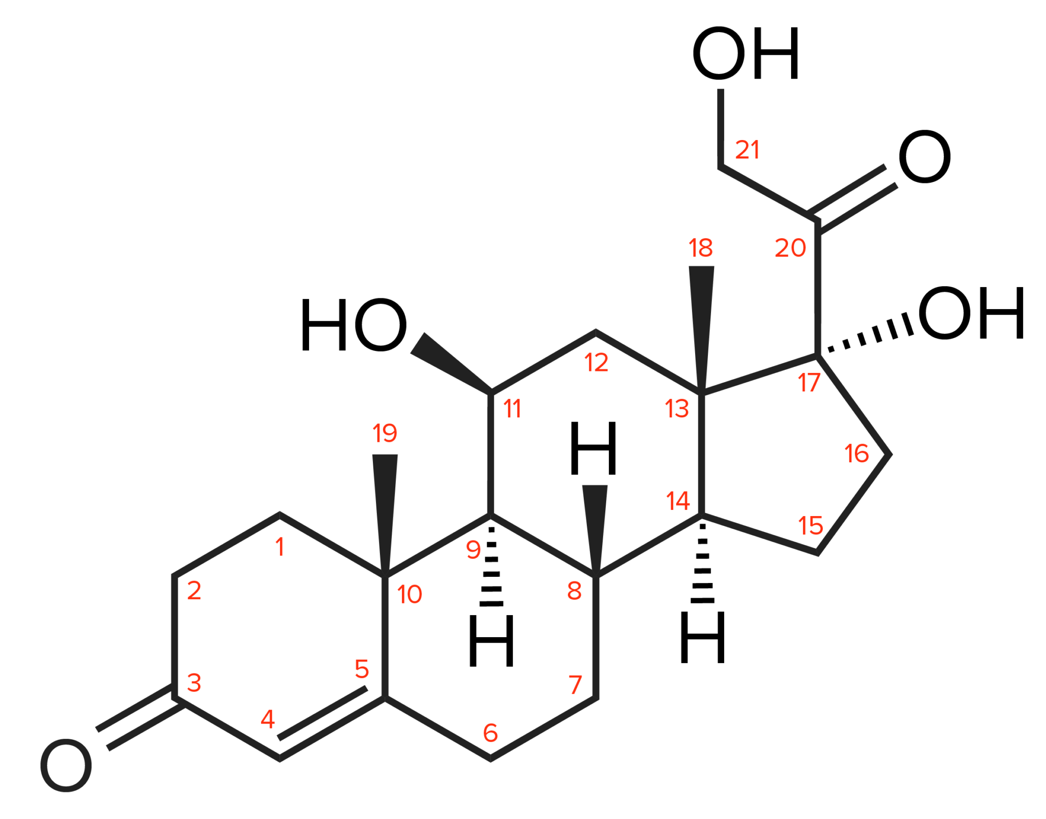 Glucocorticoids | Concise Medical Knowledge