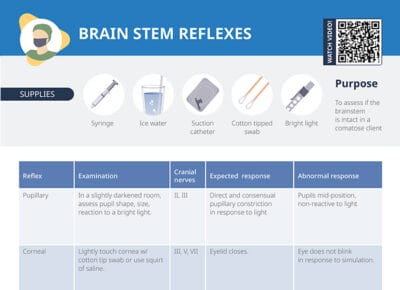 Brain Stem Reflexes [+ Free Cheat Sheet] | Lecturio Nursing