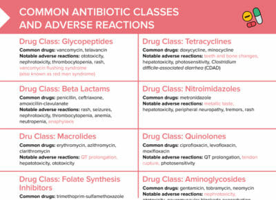 Common Antibiotics [+ Free Cheat Sheet] | Lecturio Nursing