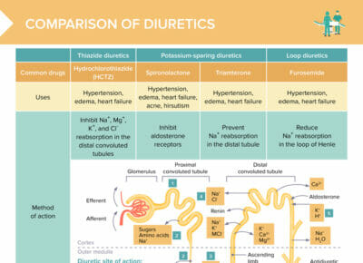 Diuretics: MOA & Types [+ Free Cheat Sheet] | Lecturio