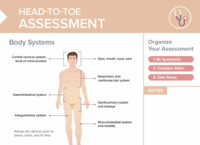 Head-to-Toe Assessment [+ Free Cheat Sheet] | Lecturio