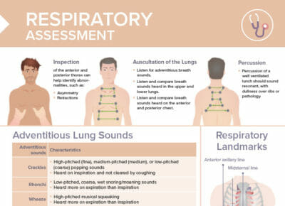 Respiratory Assessment [+ Free Cheat Sheet] | Lecturio