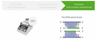 Polymerase Chain Reaction (PCR) | Concise Medical Knowledge