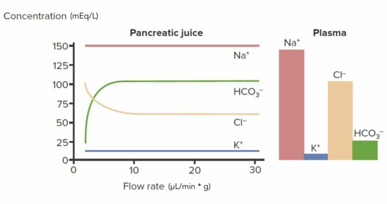 Gastrointestinal Secretions | Concise Medical Knowledge