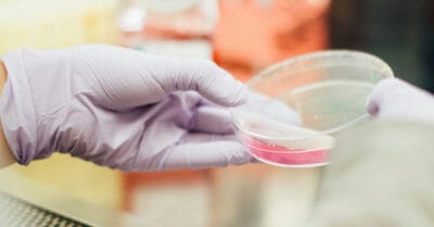 What Does a Pathologist Do, and Why Should I Become One? | Lecturio