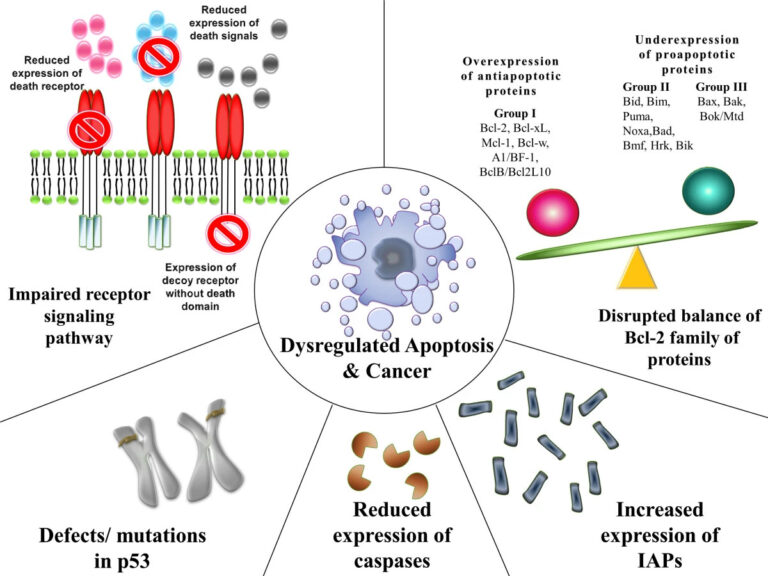 Carcinogenesis | Concise Medical Knowledge