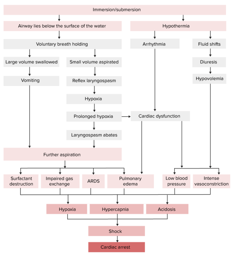 Drowning | Concise Medical Knowledge