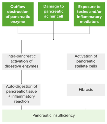 Pancreatitis Crónica | Concise Medical Knowledge