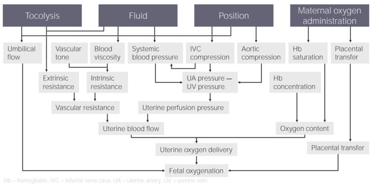 Intrauterine Resuscitation [+ Free Cheat Sheet] | Lecturio