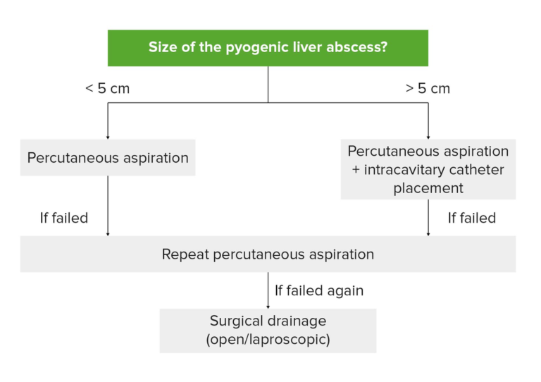 Pyogenic Liver Abscess | Concise Medical Knowledge