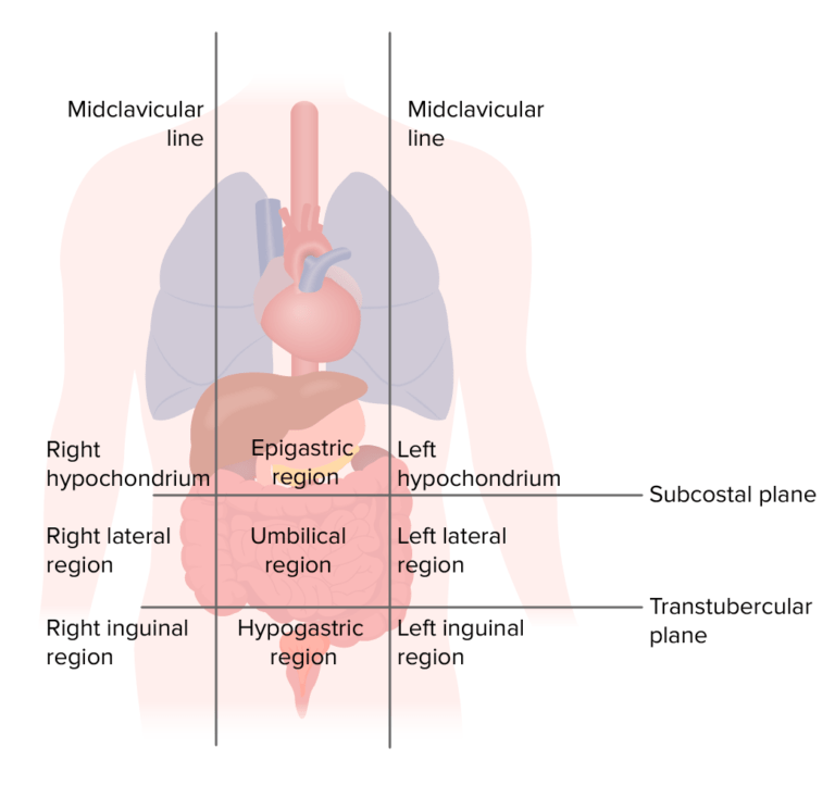 Laparotomy and Laparoscopy | Concise Medical Knowledge
