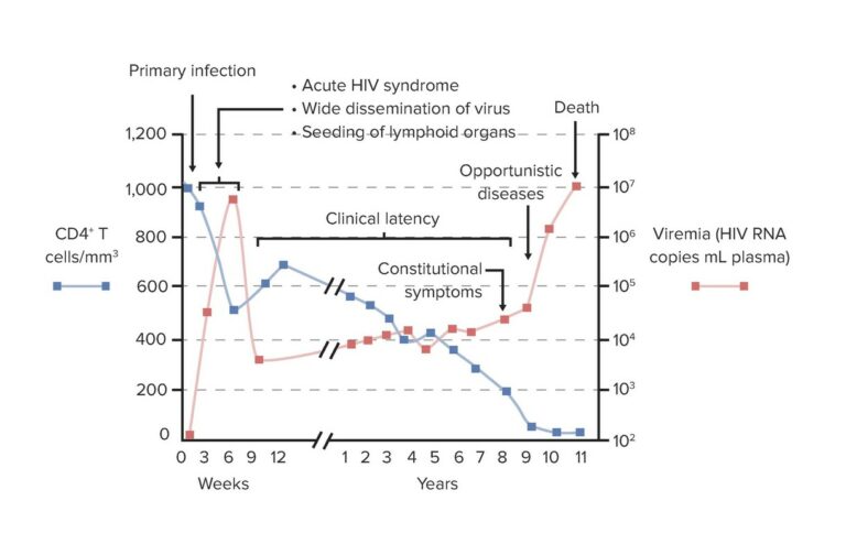 Infección por VIH y SIDA | Concise Medical Knowledge