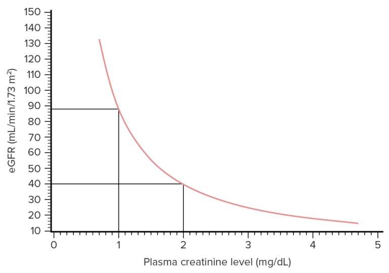 Glomerular Filtration: Renal Physiology | Concise Medical Knowledge