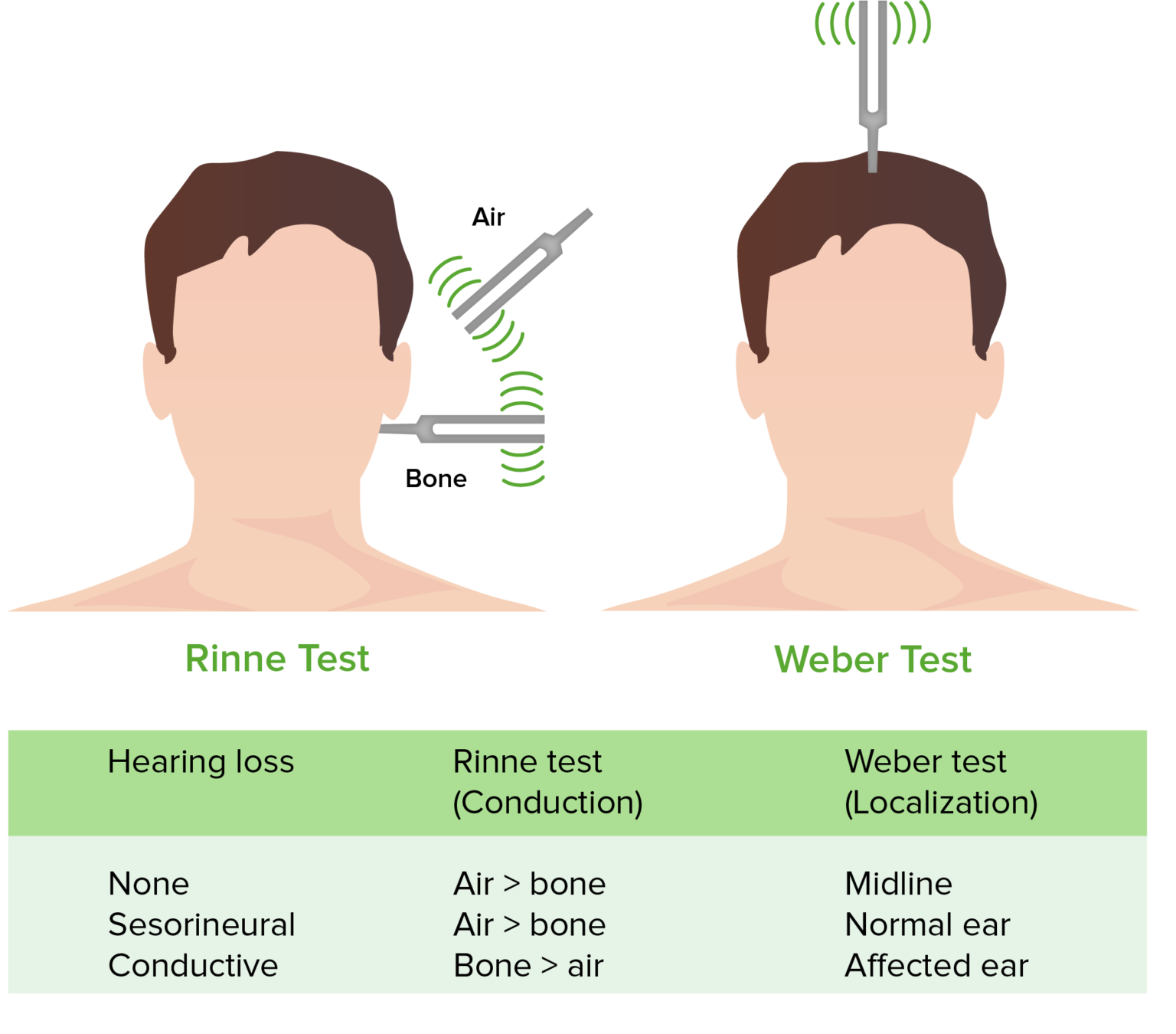 Head and Neck Examination | Concise Medical Knowledge