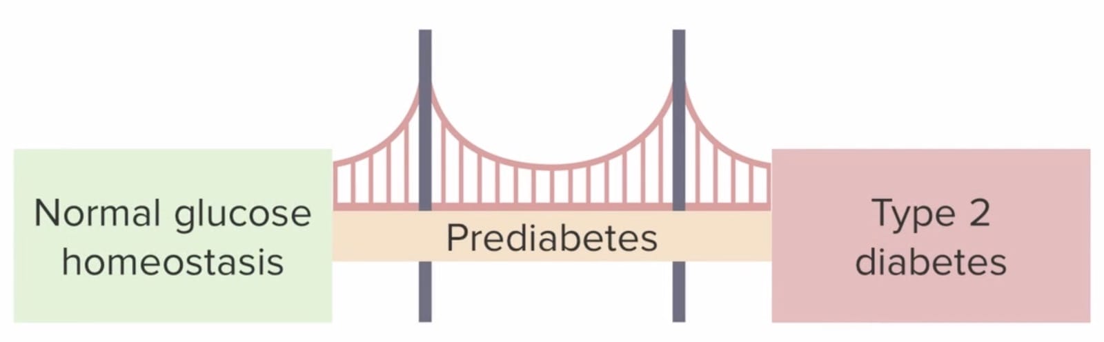 Prediabetes [+ Free Cheat Sheet] | Lecturio Nursing
