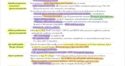 How to Annotate First Aid® for the USMLE® | Lecturio Medical