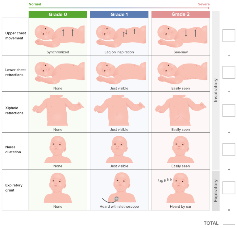 Physical Examination of the Newborn | Concise Medical Knowledge