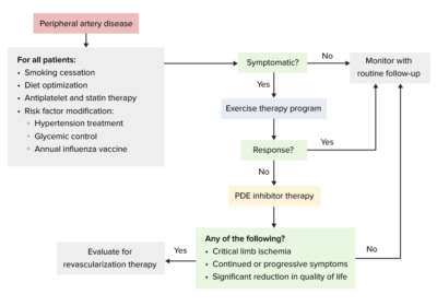 Peripheral Artery Disease (Clinical) | Concise Medical Knowledge