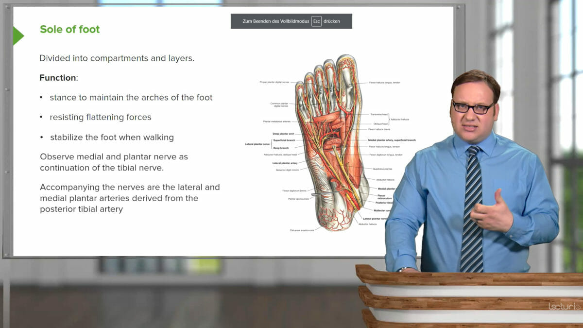 Next Gen NCLEX® Question Type Guide [+ Examples] | Lecturio