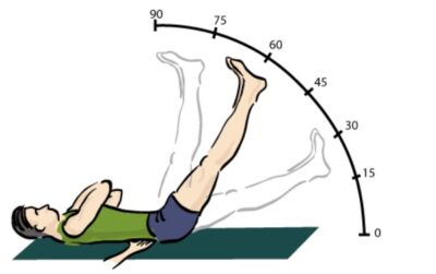 Back Pain | Concise Medical Knowledge