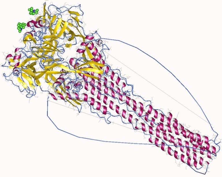 Parainfluenza Virus | Concise Medical Knowledge