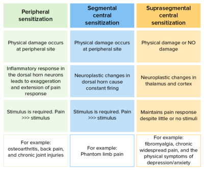 Pain: Types and Pathways | Concise Medical Knowledge