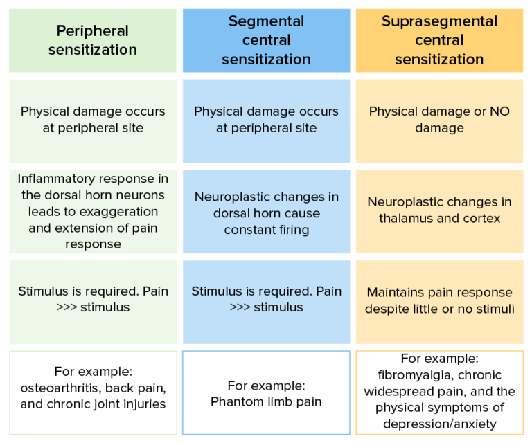 Dolor: Tipos y Vías | Concise Medical Knowledge Dolor: Tipos y Vías | Concise Medical Knowledge