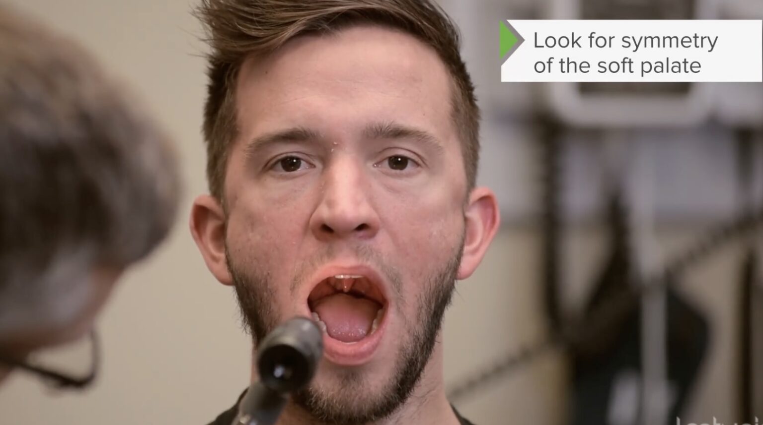 Neurological Examination | Concise Medical Knowledge