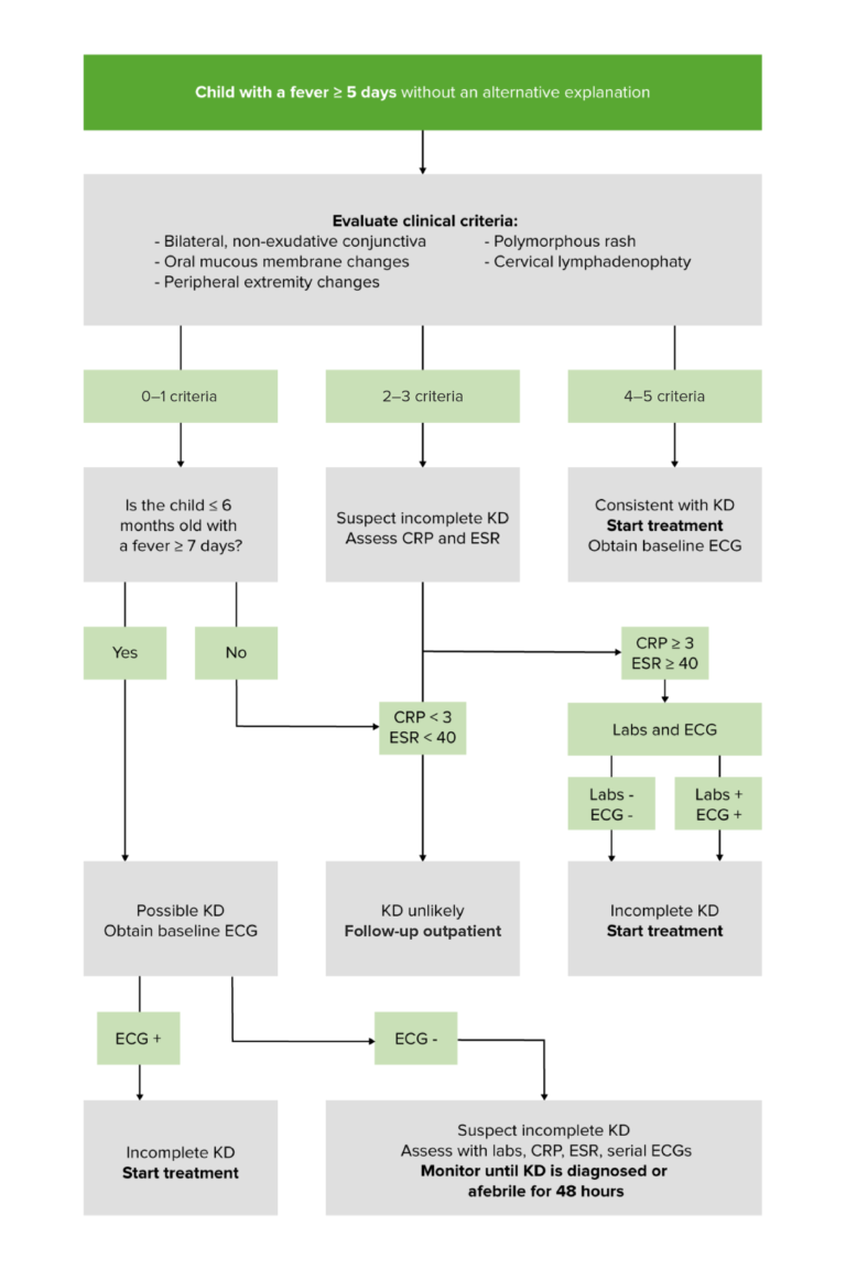 Kawasaki Disease | Concise Medical Knowledge