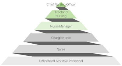 Nursing Chain of Command [+ Free Cheat Sheet] | Lecturio