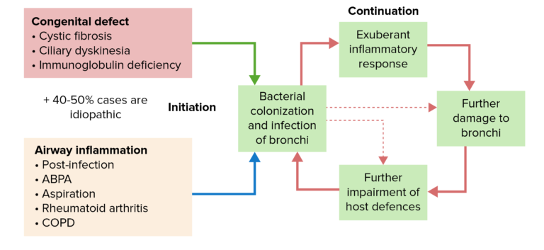 Bronchiectasis | Concise Medical Knowledge