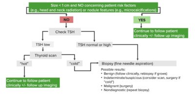 Thyroid Nodules | Concise Medical Knowledge