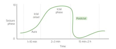 Convulsiones | Concise Medical Knowledge