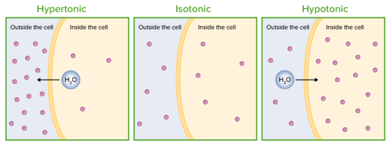 IV Fluids: Types and Indications | Concise Medical Knowledge
