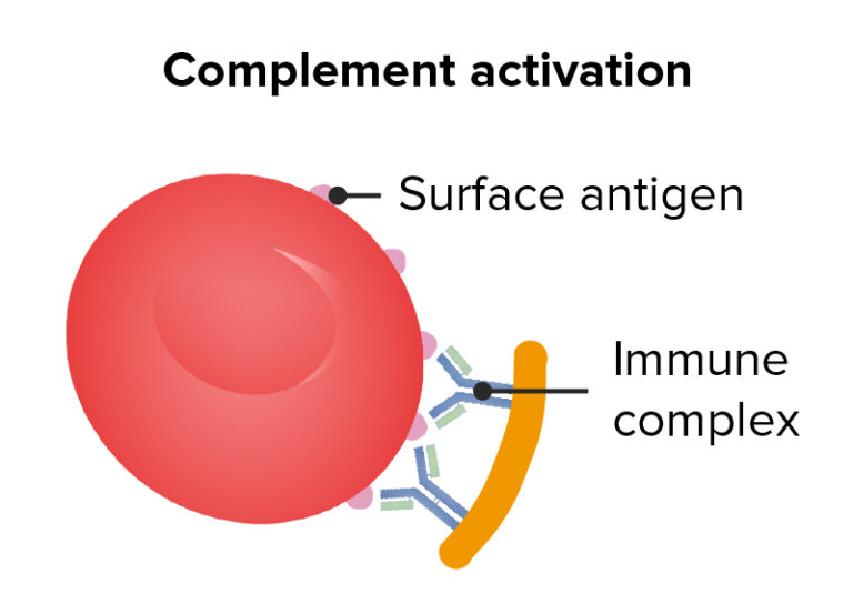 Type I Hypersensitivity Reaction | Concise Medical Knowledge