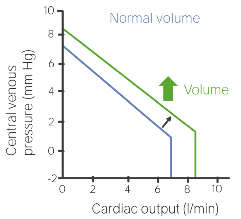 Venous Function | Concise Medical Knowledge