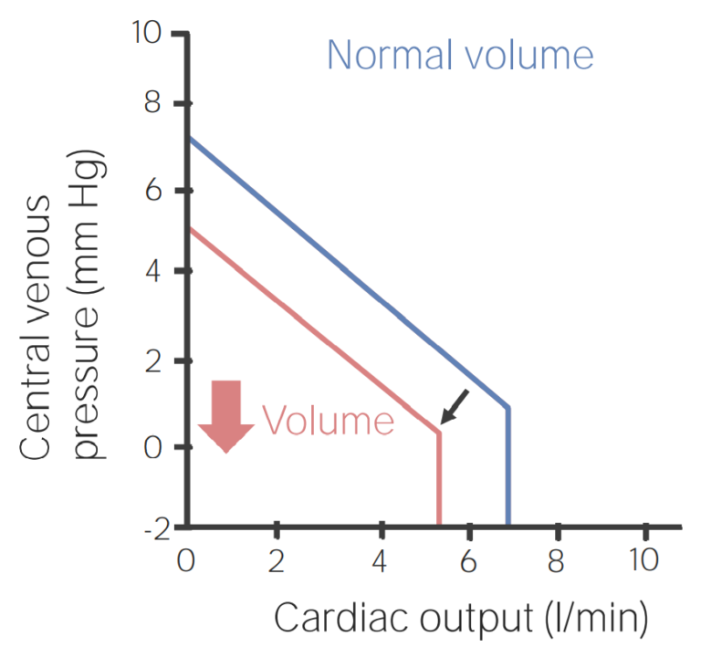 Venous Function | Concise Medical Knowledge