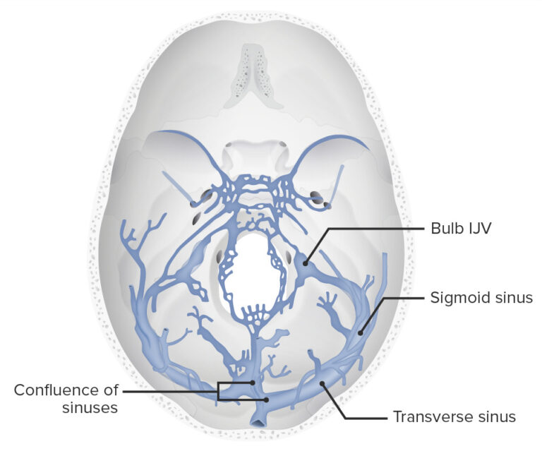 Neurocirurgia | Concise Medical Knowledge