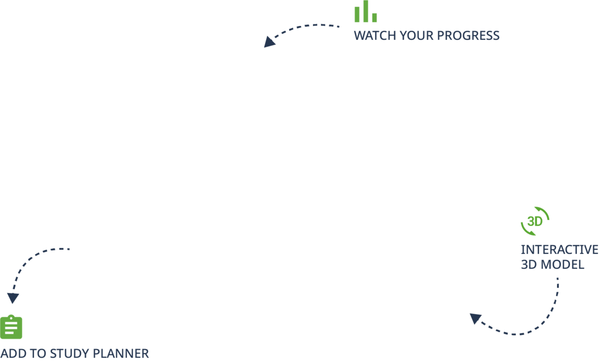 Succeed on your IFOM | Lecturio.com