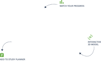 Prepare for the USMLE Step 1 | Lecturio Medical