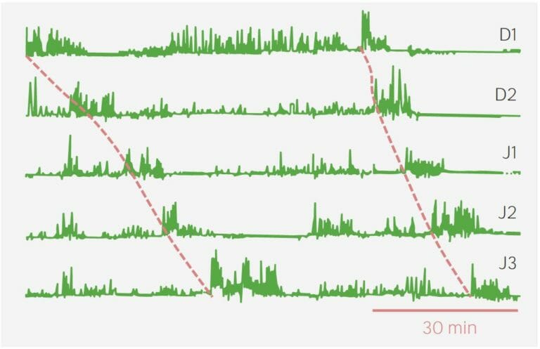 Gastrointestinal Motility | Concise Medical Knowledge