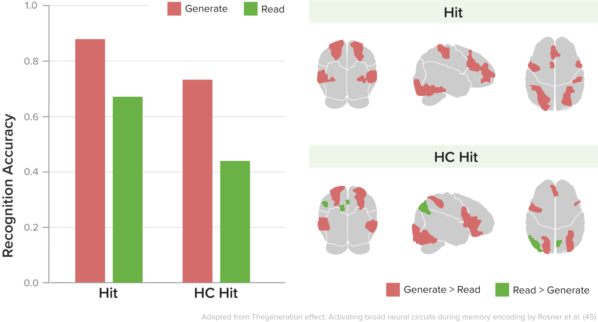 Active Learning in Medical Education | Lecturio