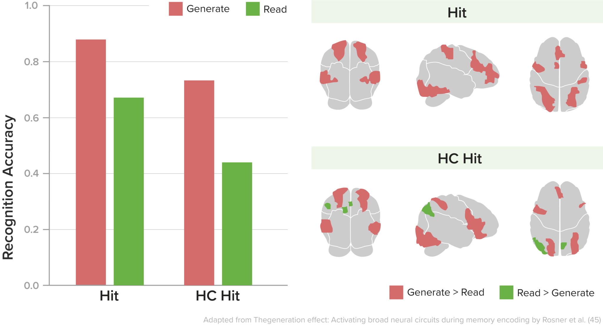 Active Learning in Medical Education | Lecturio