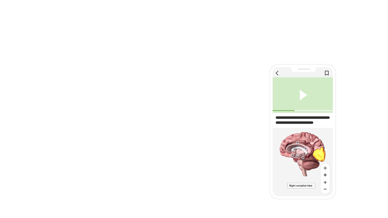 Lecturio | Achieve Mastery of Medical and Nursing Concepts