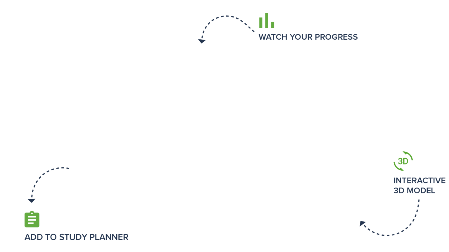 Lecturio | Achieve Mastery of Medical and Nursing Concepts