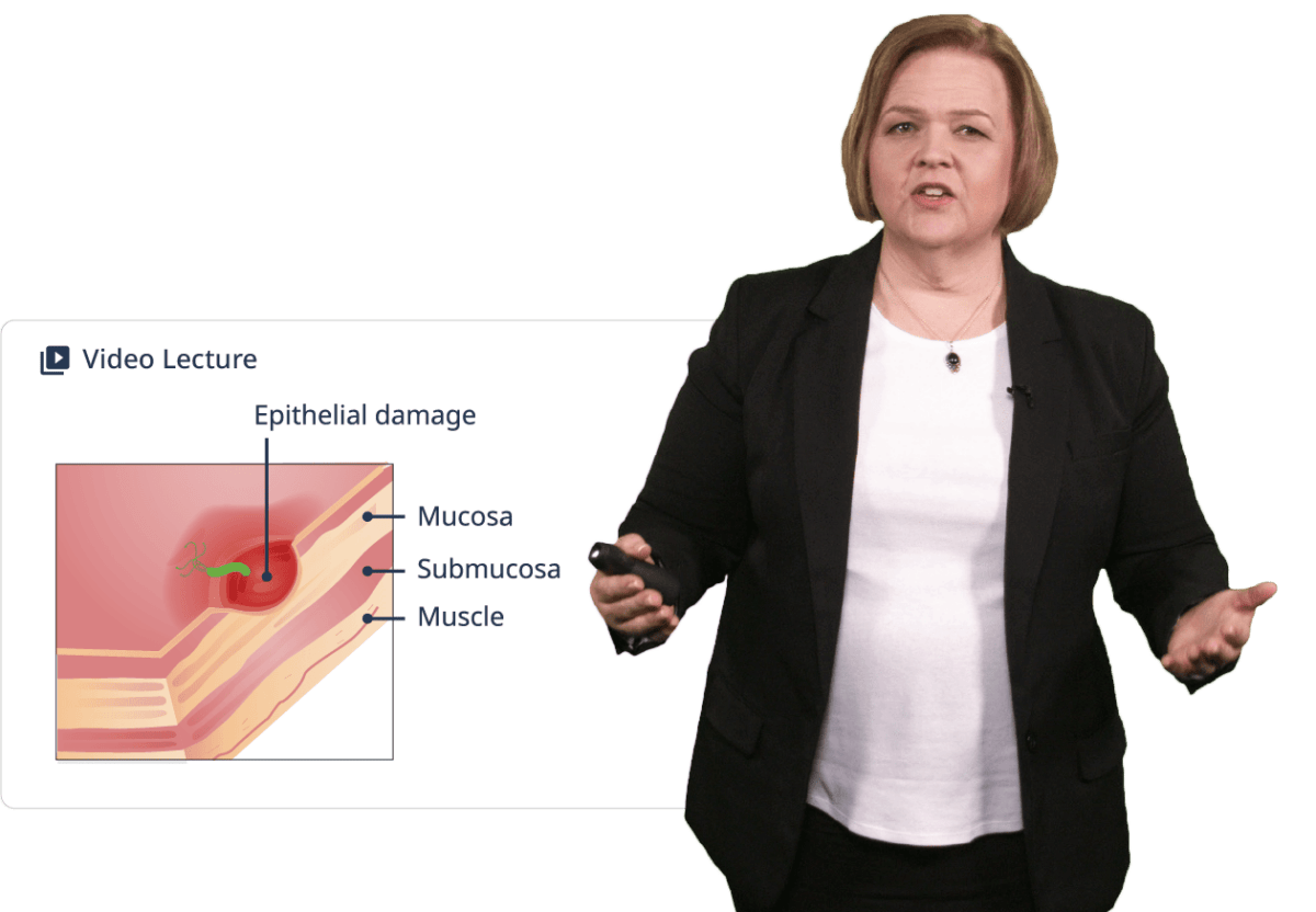 Lecturio | Achieve Mastery of Medical and Nursing Concepts